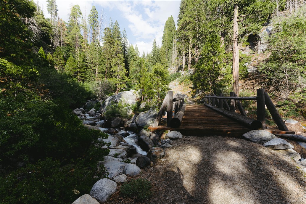 TST South – Anthony Ottati