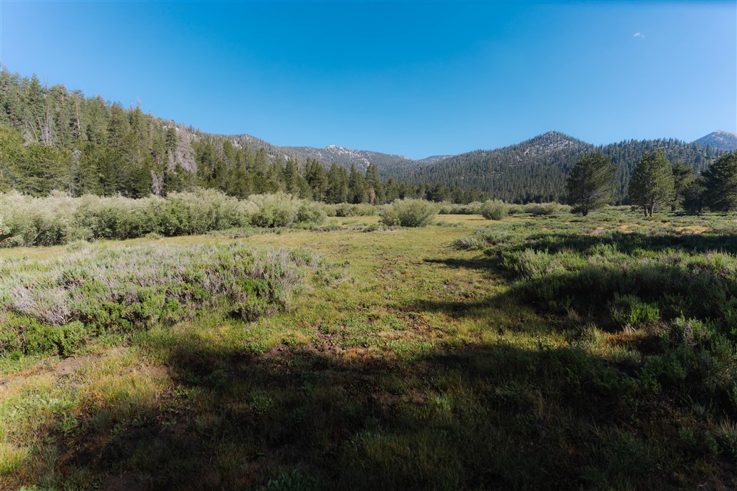 TST South – Anthony Ottati